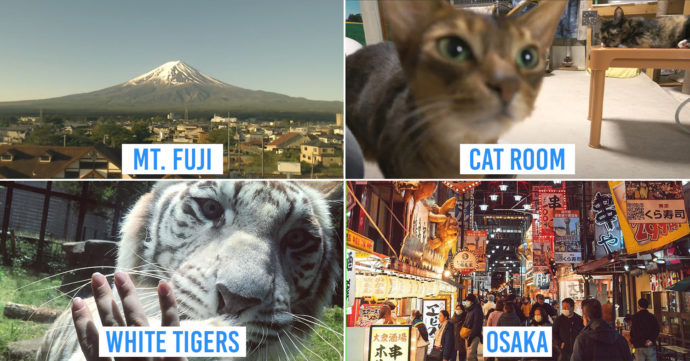 11 Japanese Livestreams That Let You Travel Around Japan Virtually