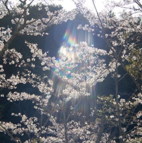 8 Influential Japanese Photographers You Should Know About