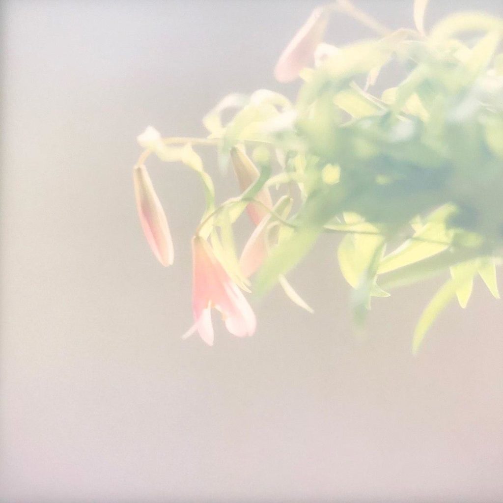 8 Influential Japanese Photographers You Should Know About