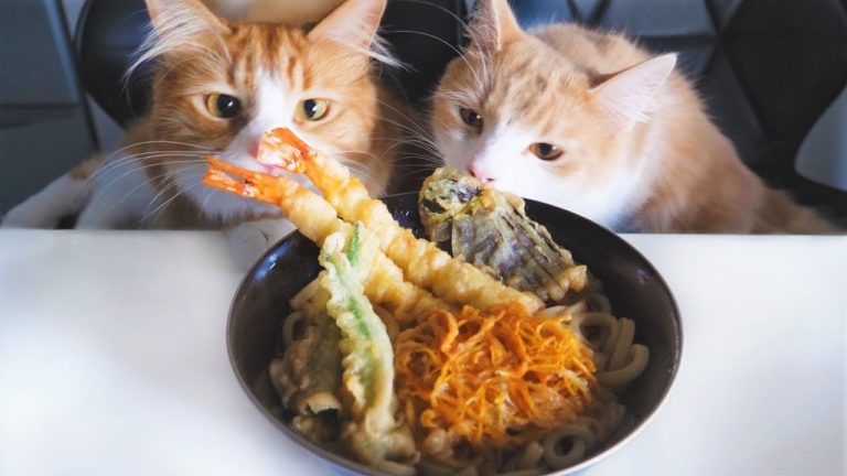 10 Japanese Cooking Channels On YouTube Worth Watching