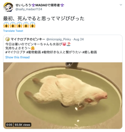 Video Of A Pig Balancing On A Ball In Japan Goes Viral; Turns Out It's CGI