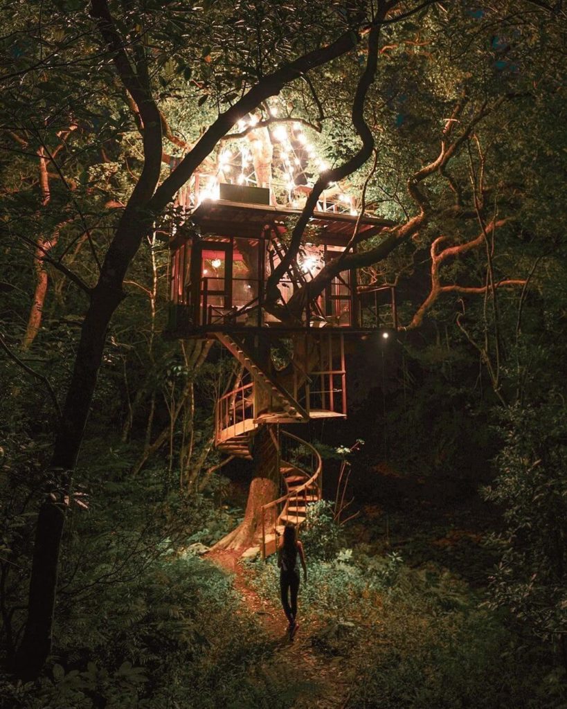 Treeful Treehouse In Okinawa Lets You Glamp In The Trees