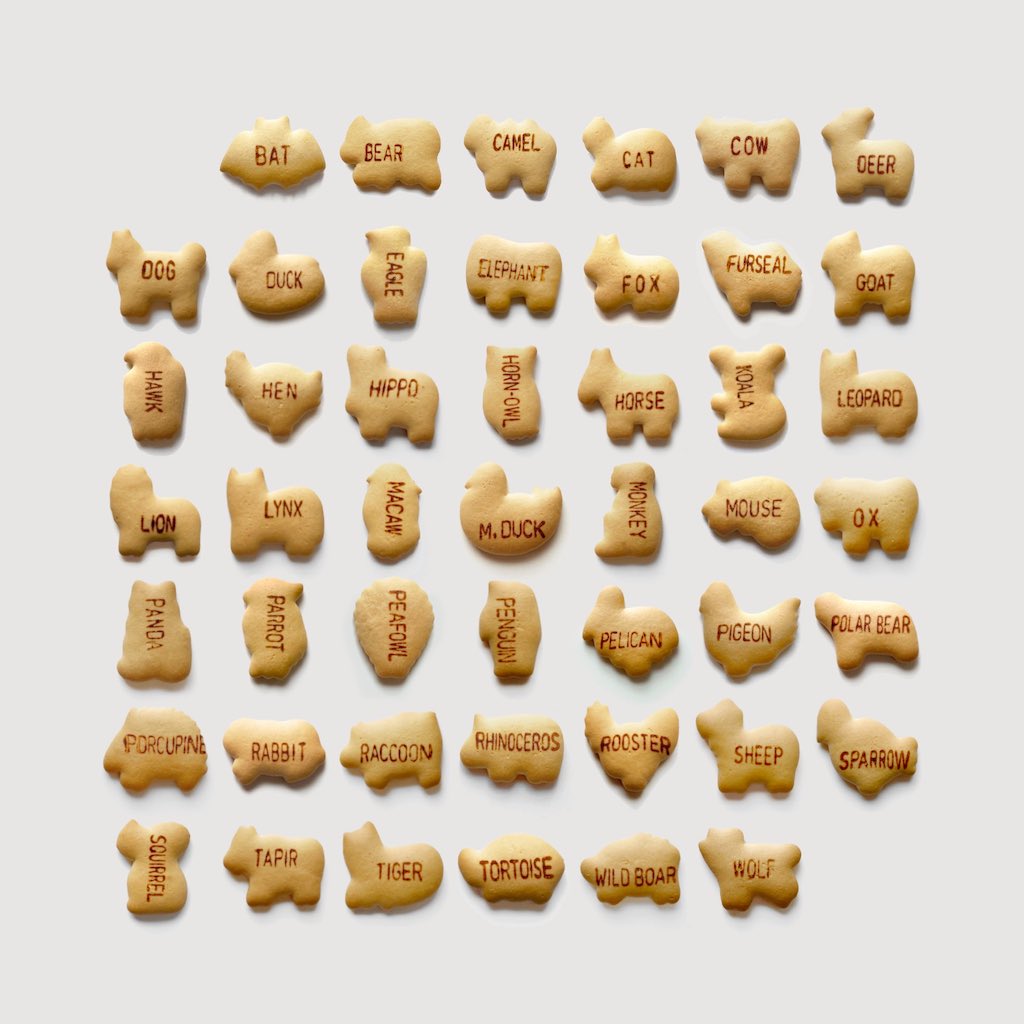 Japanese Artist Turns Ginbis Dream Animal Biscuits Into Party Animals