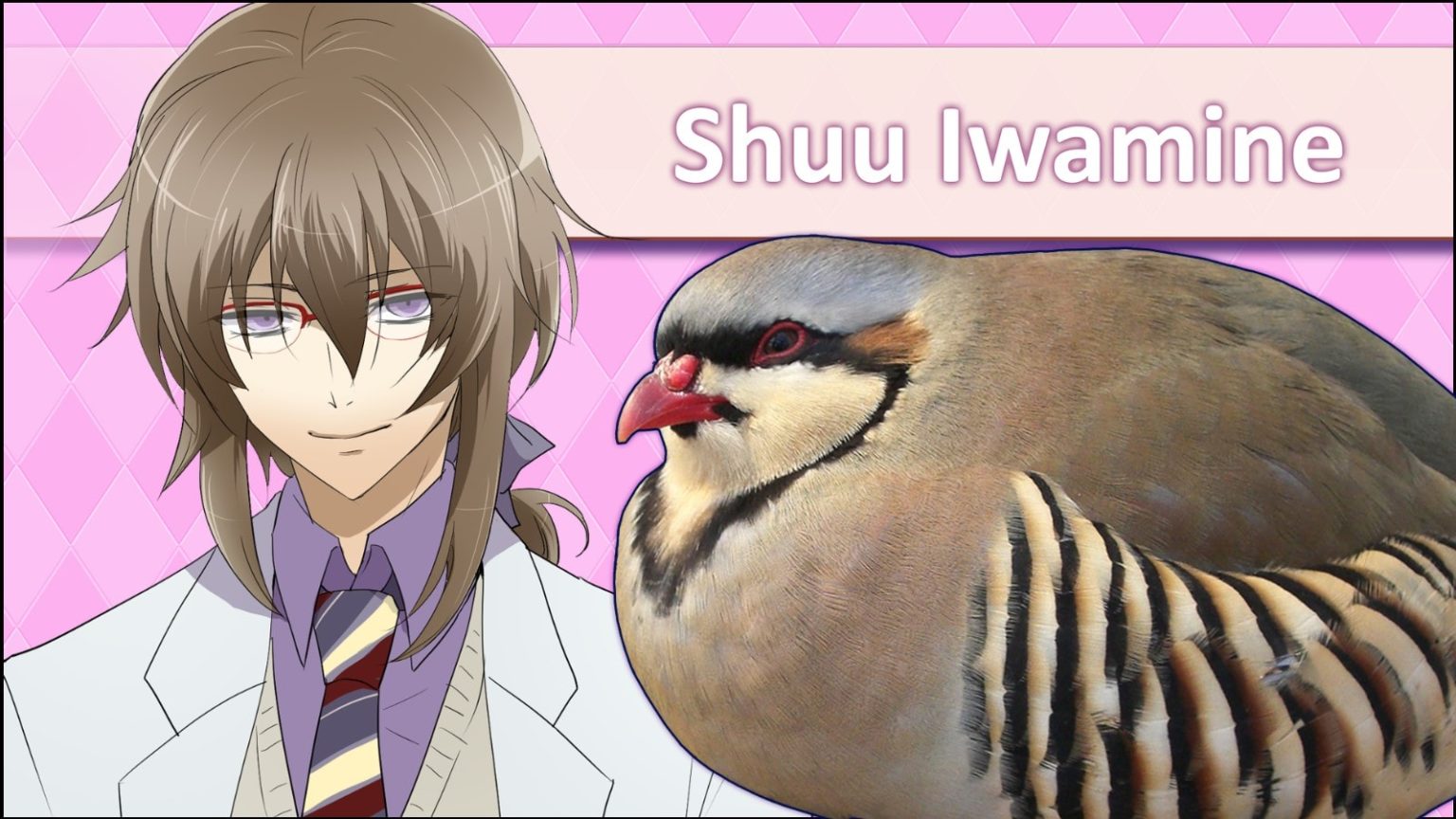 8 Weird Otome Games That Let You Date A Horse & Colonel Sanders