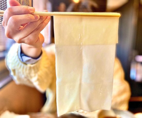 11 Types Of Udon From 11 Prefectures To Try Besides The Sanuki Udon