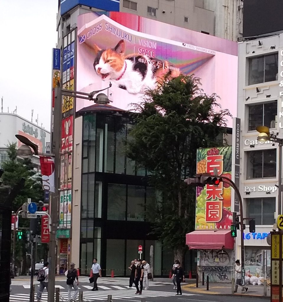 Giant 3D Cat Near Shinjuku Station Is The Cutest Kaiju Ever
