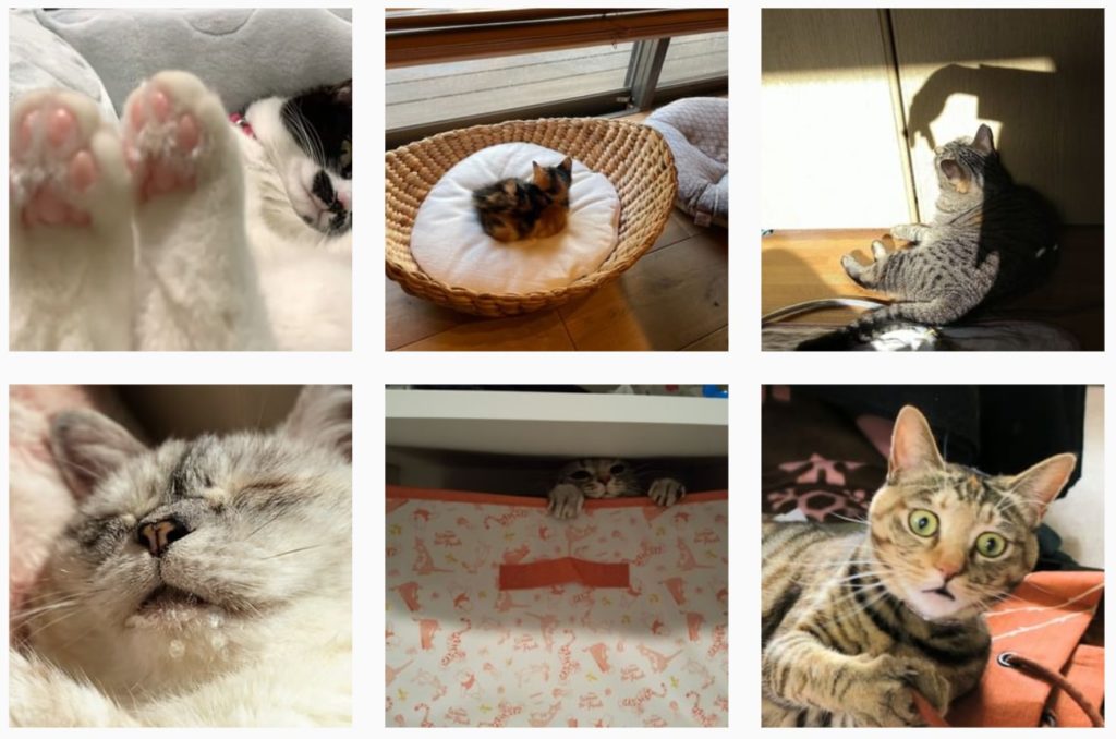 Felissimo's The Great Wave Cat Scratcher Makes Your Feline Look Epic