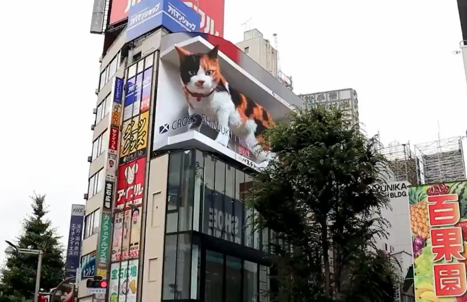 Japanese Artist Brings 3D Shinjuku Cat Billboard To Life With Cardboard
