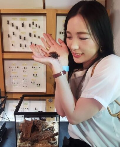 Mushi Mushi Land: Home To 1,000 Rhino Beetles & A Rare Insect Museum