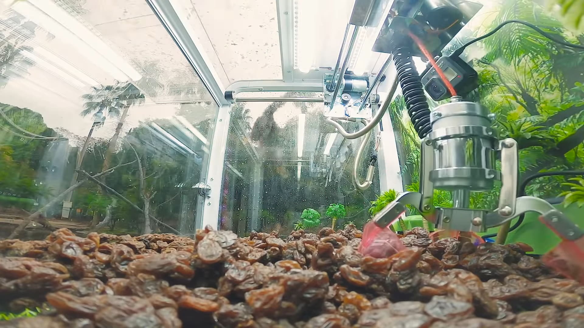 Monkey In Japan Plays The Crane Machine And Actually Wins Raisins