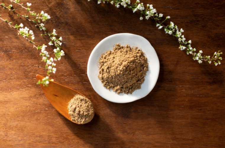 Japanese Bakery Pasco Creates Nutritional Silkworm Bread