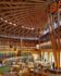 Nakajima Library: Colosseum Inspired Interior Built With Akita Cedar Trees