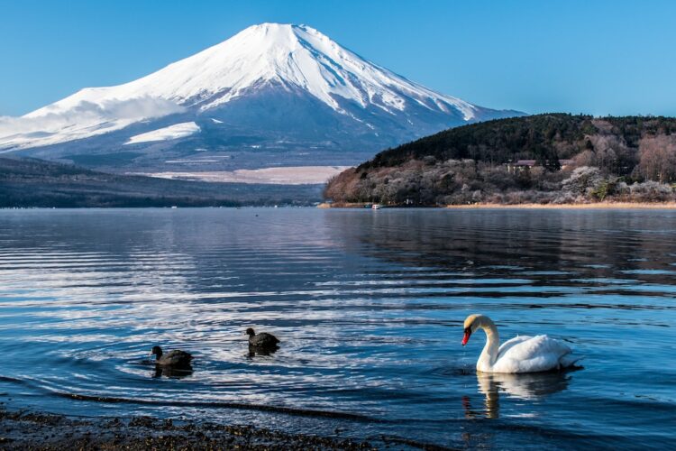 Mount Fuji Climbing Guide: When To Go, Routes To Take & What To Bring