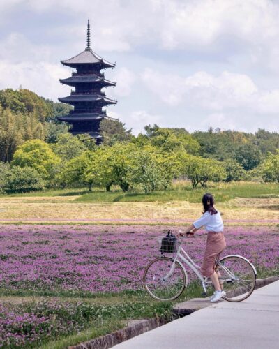 Kibi Plain: Cycle Through The Countryside & Explore Ancient Tombs