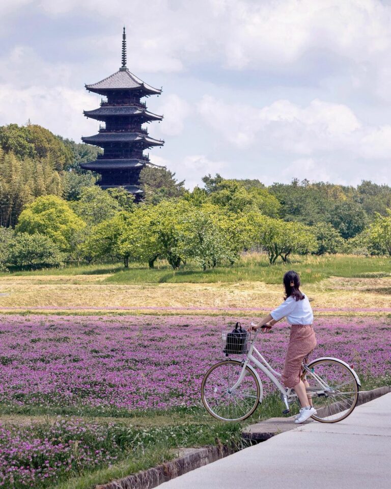 Kibi Plain: Cycle Through The Countryside & Explore Ancient Tombs