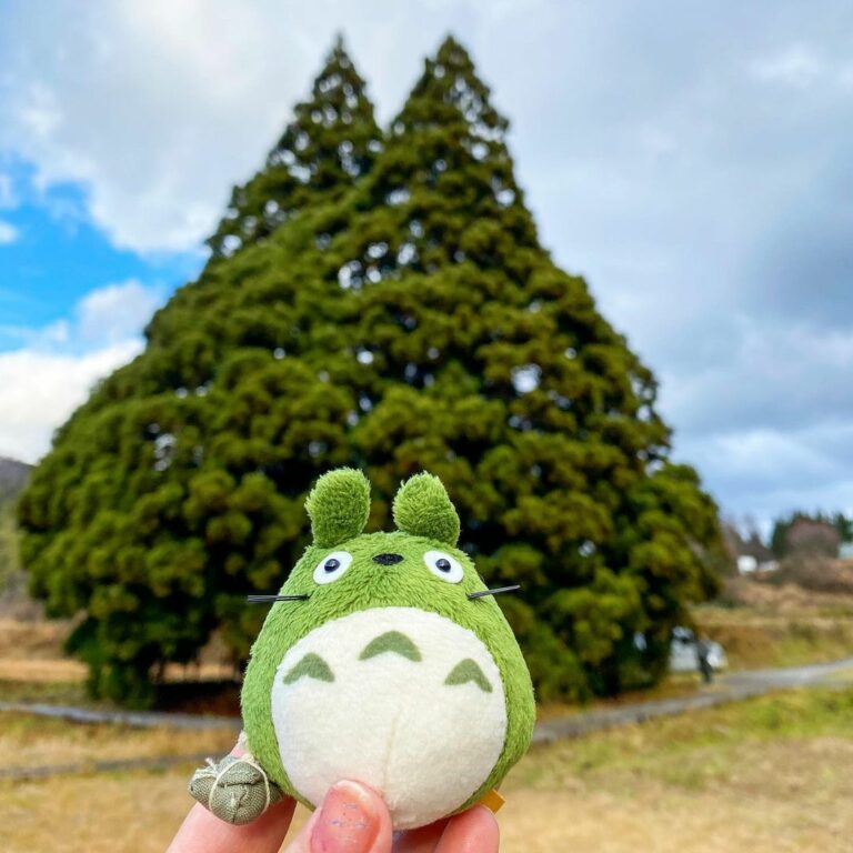 Totoro Tree: 1,000-Year-Old Tree That Looks Just Like The Ghibli Spirit