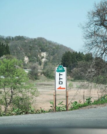 Totoro Tree: 1,000-Year-Old Tree That Looks Just Like The Ghibli Spirit