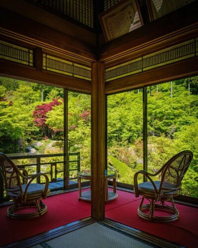 Kankyo Geijutsu no Mori: Fall View Of A Forest With 10,000 Maple Trees