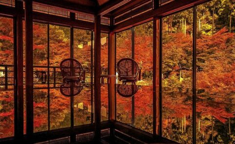 Kankyo Geijutsu no Mori: Fall View Of A Forest With 10,000 Maple Trees