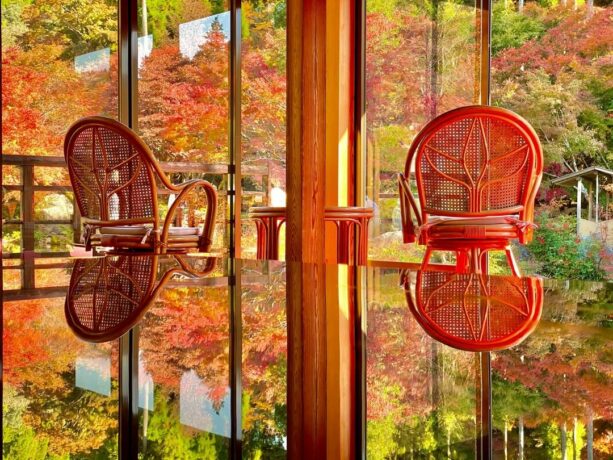 Kankyo Geijutsu no Mori: Fall View Of A Forest With 10,000 Maple Trees