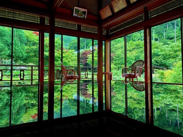 Kankyo Geijutsu no Mori: Fall View Of A Forest With 10,000 Maple Trees