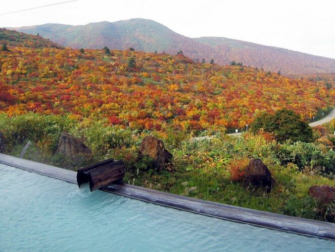 8 Onsen In Japan With Fall Foliage Views To Soak Your Stress Away