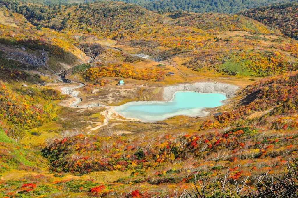 8 Onsen In Japan With Fall Foliage Views To Soak Your Stress Away