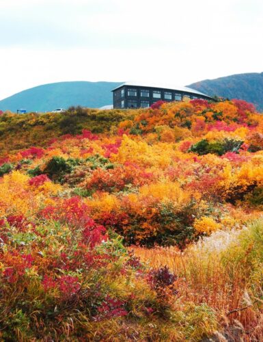 8 Onsen In Japan With Fall Foliage Views To Soak Your Stress Away