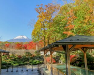 8 Onsen In Japan With Fall Foliage Views To Soak Your Stress Away