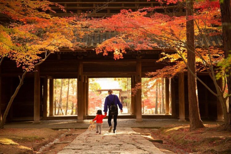 Sogenji: Hidden Fall Foliage Spot With A Zen School & Active Monastery