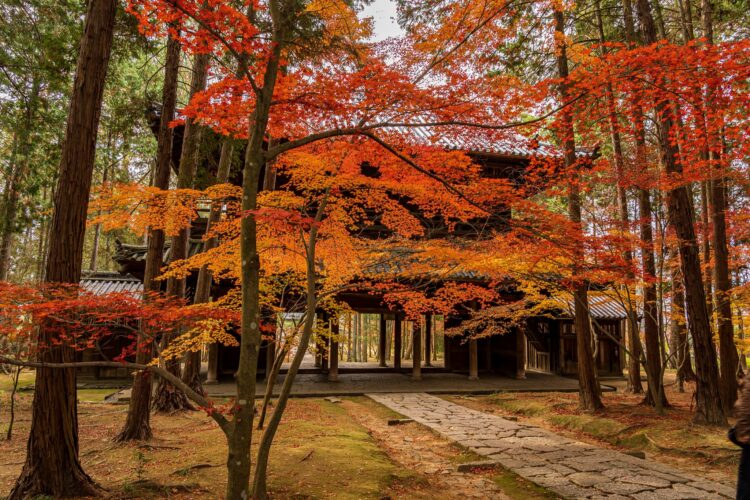 Sogenji: Hidden Fall Foliage Spot With A Zen School & Active Monastery