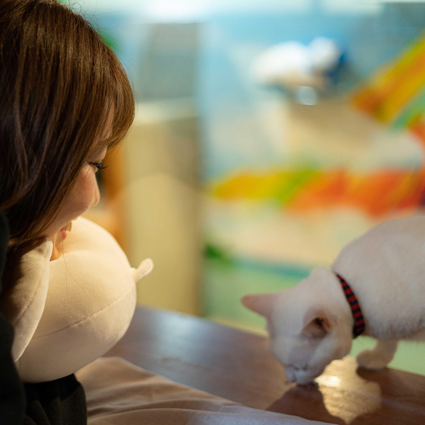 Neko-Yokujo: Bathhouse & Cat Cafe In Osaka To Play & Sleep With Cats