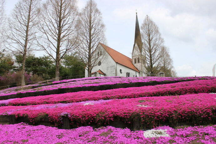 The Little World Museum of Man: Anthropological Park With Mini Countries
