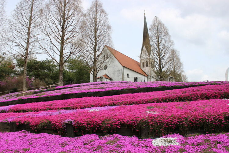 The Little World Museum of Man: Anthropological Park With Mini Countries