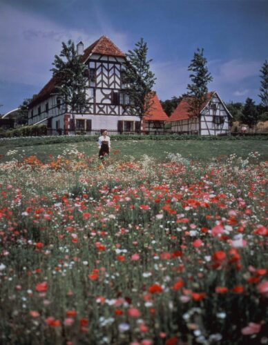 The Little World Museum of Man: Anthropological Park With Mini Countries