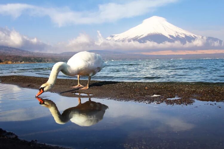 10 Beautiful Lakes In Japan, Including One Where J01 Filmed Their MV