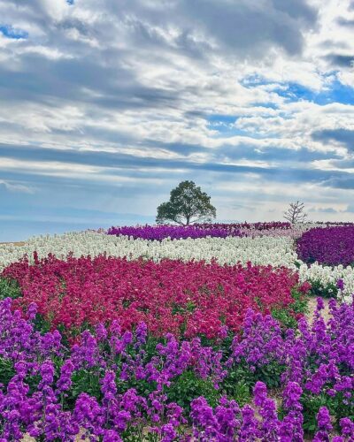 10 Things To Do On Awaji Island, Including A Hello Kitty Resort