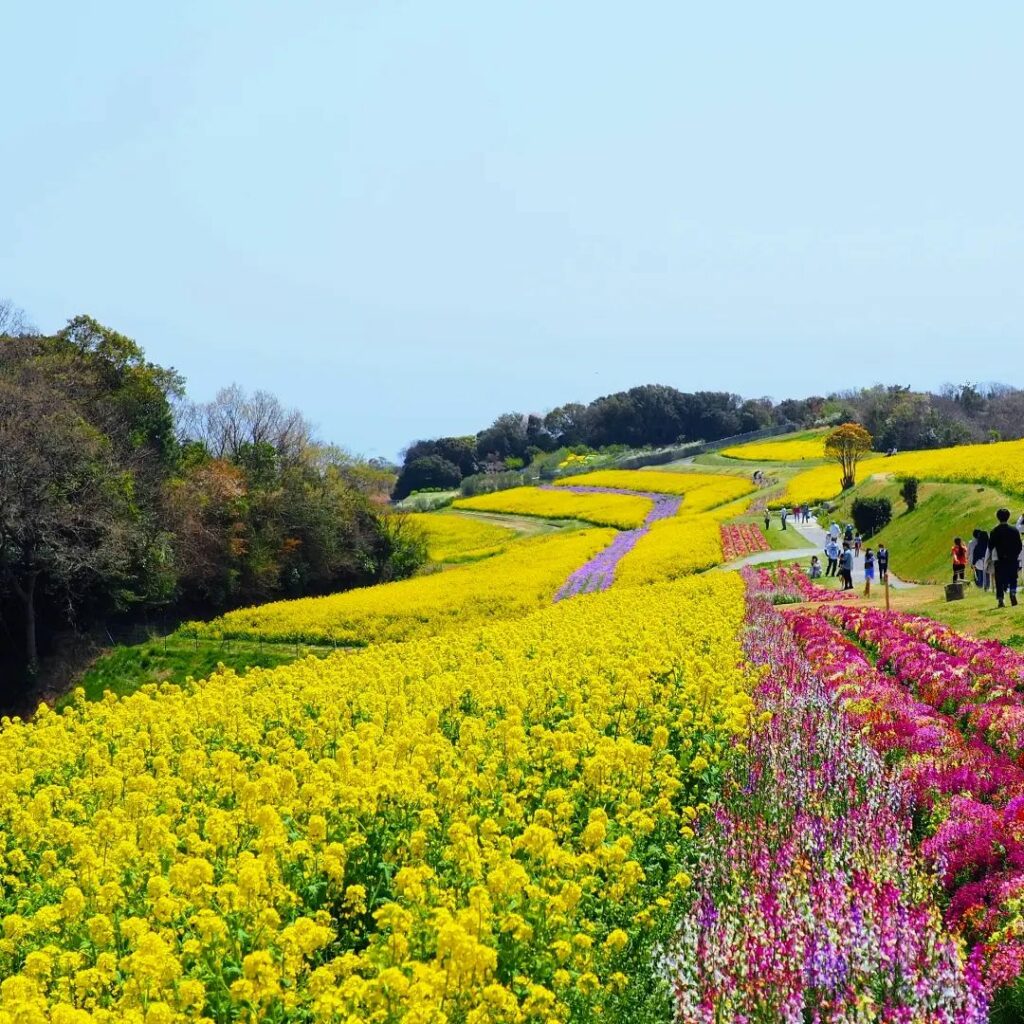 10 Things To Do On Awaji Island, Including A Hello Kitty Resort
