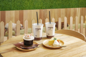 Mipig Cafe: Micro Pig Cafe That Lets You Cuddle With Adorable Pigs