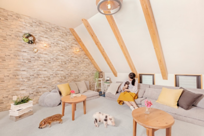 Mipig Cafe: Micro Pig Cafe That Lets You Cuddle With Adorable Pigs