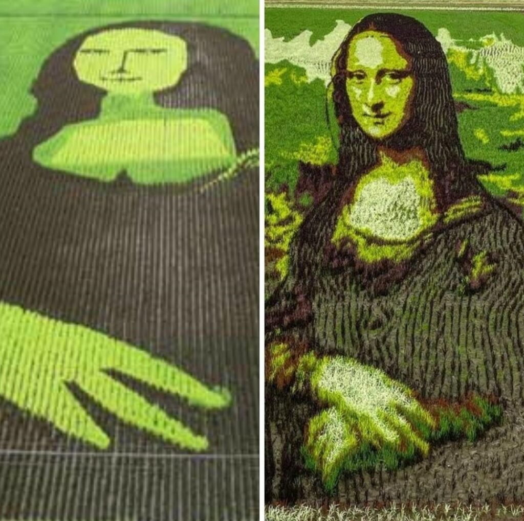 Inakadate Tanbo Art: Annual Event That Showcases Colourful Rice Paddy Art