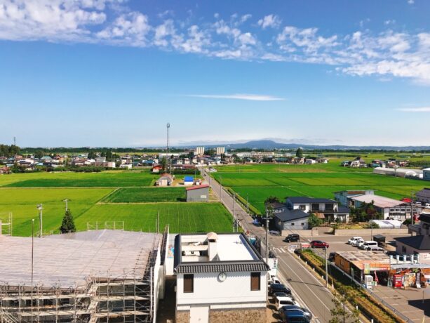 Inakadate Tanbo Art: Annual Event That Showcases Colourful Rice Paddy Art