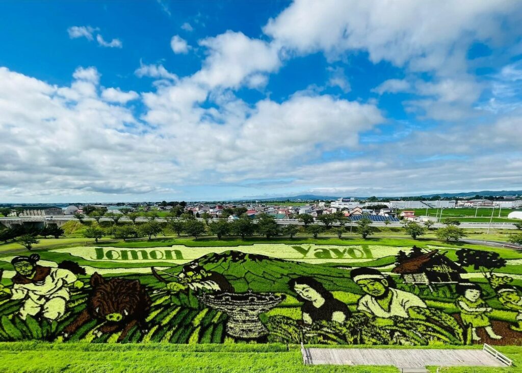 Inakadate Tanbo Art: Annual Event That Showcases Colourful Rice Paddy Art