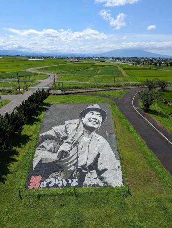 Inakadate Tanbo Art: Annual Event That Showcases Colourful Rice Paddy Art