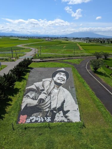 Inakadate Tanbo Art: Annual Event That Showcases Colourful Rice Paddy Art