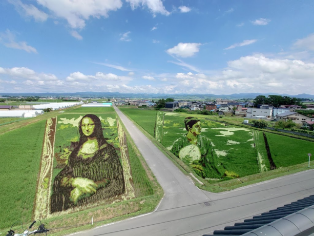 Inakadate Tanbo Art: Annual Event That Showcases Colourful Rice Paddy Art