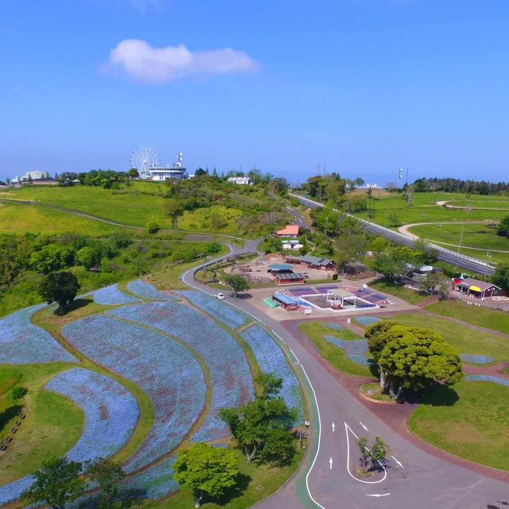 Mother Farm: Family-Friendly Park With Flower Fields & A Petting Zoo