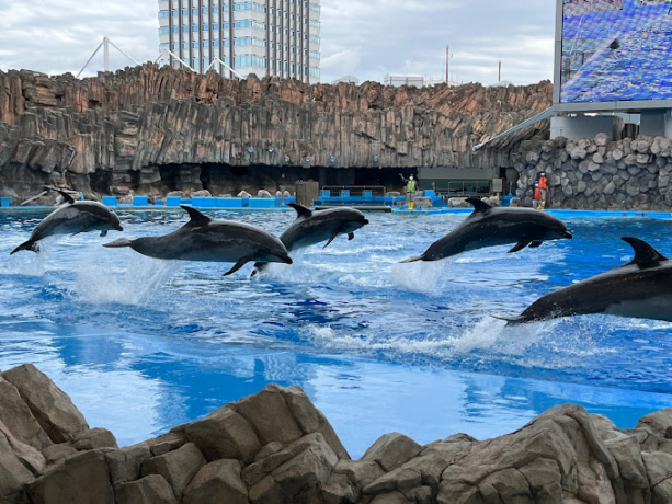 Nagoya Guide: Things To Do & Local Delicacies You Must Try