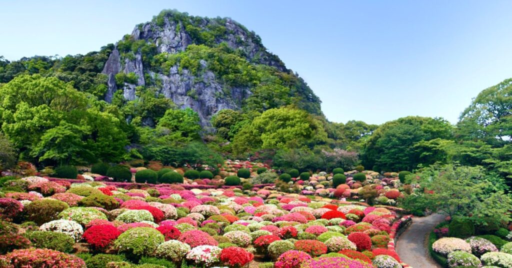 Mifuneyama Rakuen: teamLab Interactive Light Exhibition After Sundown