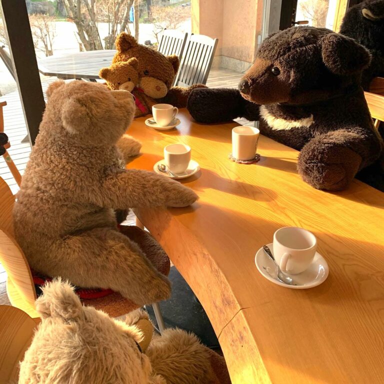 Hida Takayama Teddy Bear Eco Village: 1,000 Plushies Housed In A 180 ...